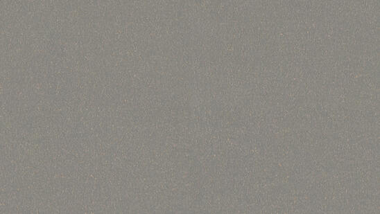 003 SILVER Lino Materiale Linoleum vloeren